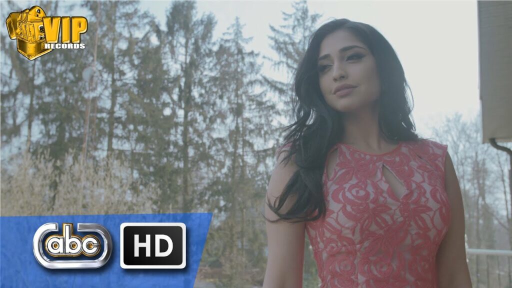 ASI DOVEH (TITLE) LYRICS | Sabi Brar, Inder Pal Singh | Asi Doveh (2016)