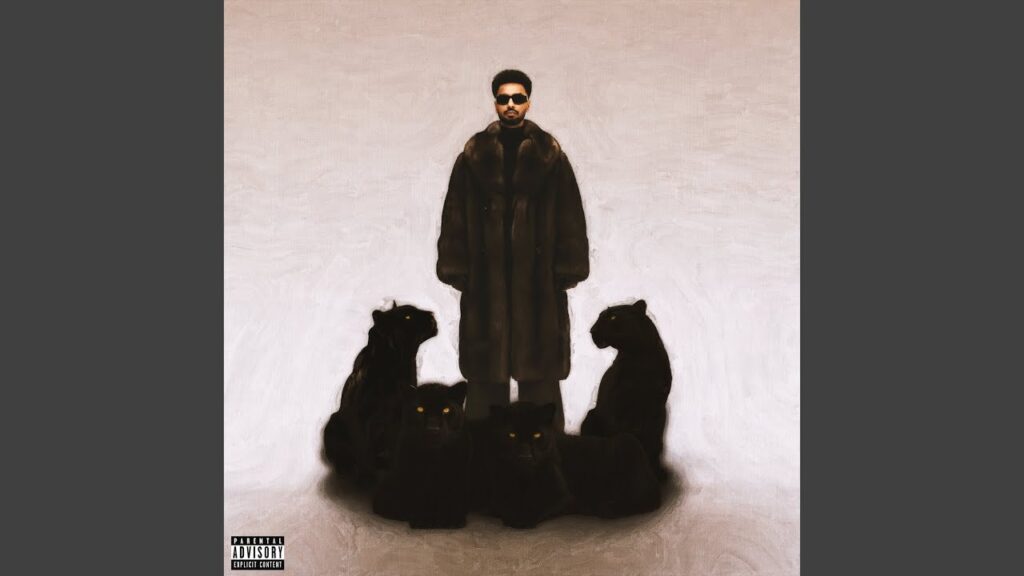 Navaan Sandhu Songs Lyrics | All Songs List